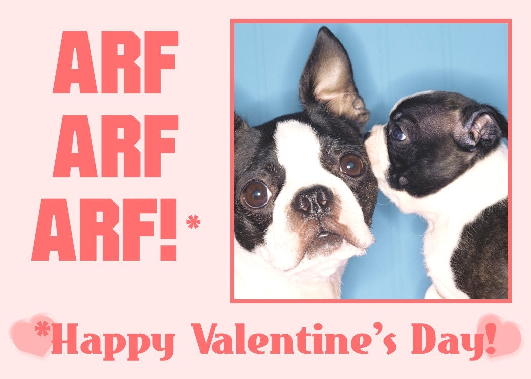 Valentines Card 7"x5" Arf Arf Arf! | Dog Cards | Love Card From Dog ...