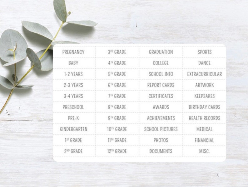 Printable Milestone Tote Labels- School File Folder Labels - Kids DIY ...