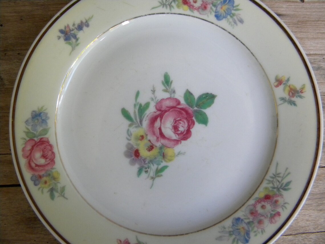 Zeh Scherzer Bavaria Germany US Zone Floral China Plate with | Etsy Zeh Scherzer Bavaria Germany US Zone Floral China Plate with | Etsy