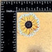 Sunflower Vinyl Sticker - Etsy