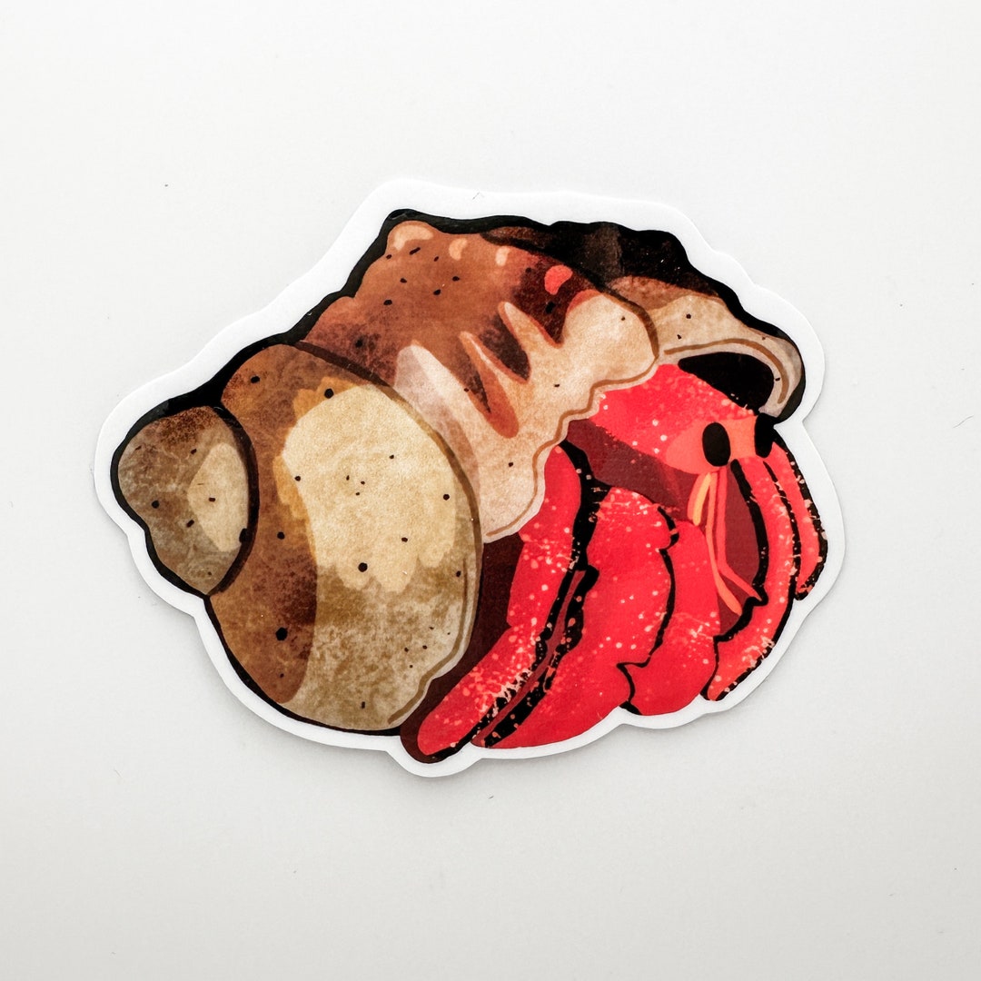 Hermit Crab Vinyl Sticker - Etsy