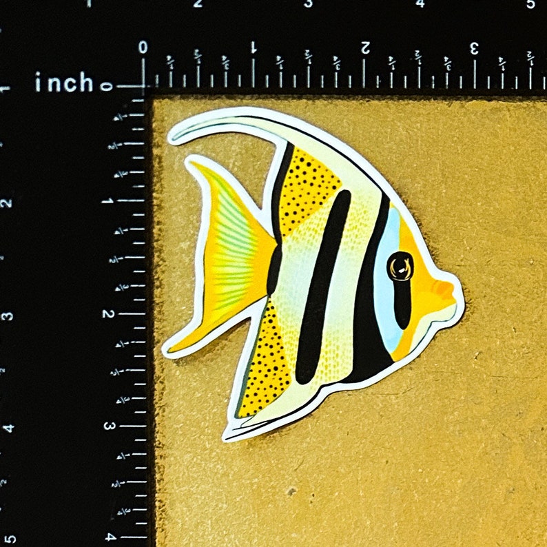 Angelfish Fish Vinyl Sticker - Etsy