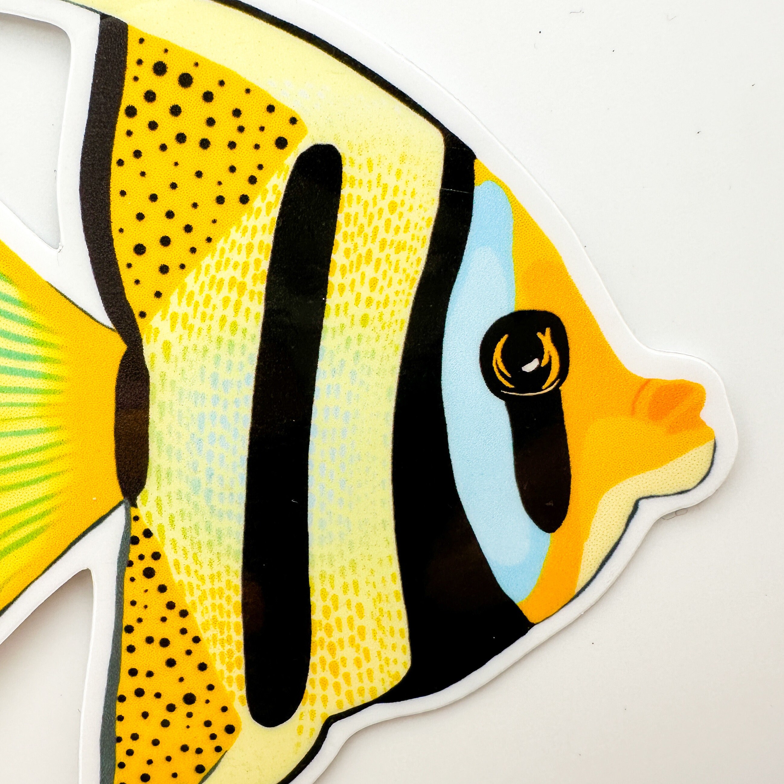 Angelfish Fish Vinyl Sticker - Etsy