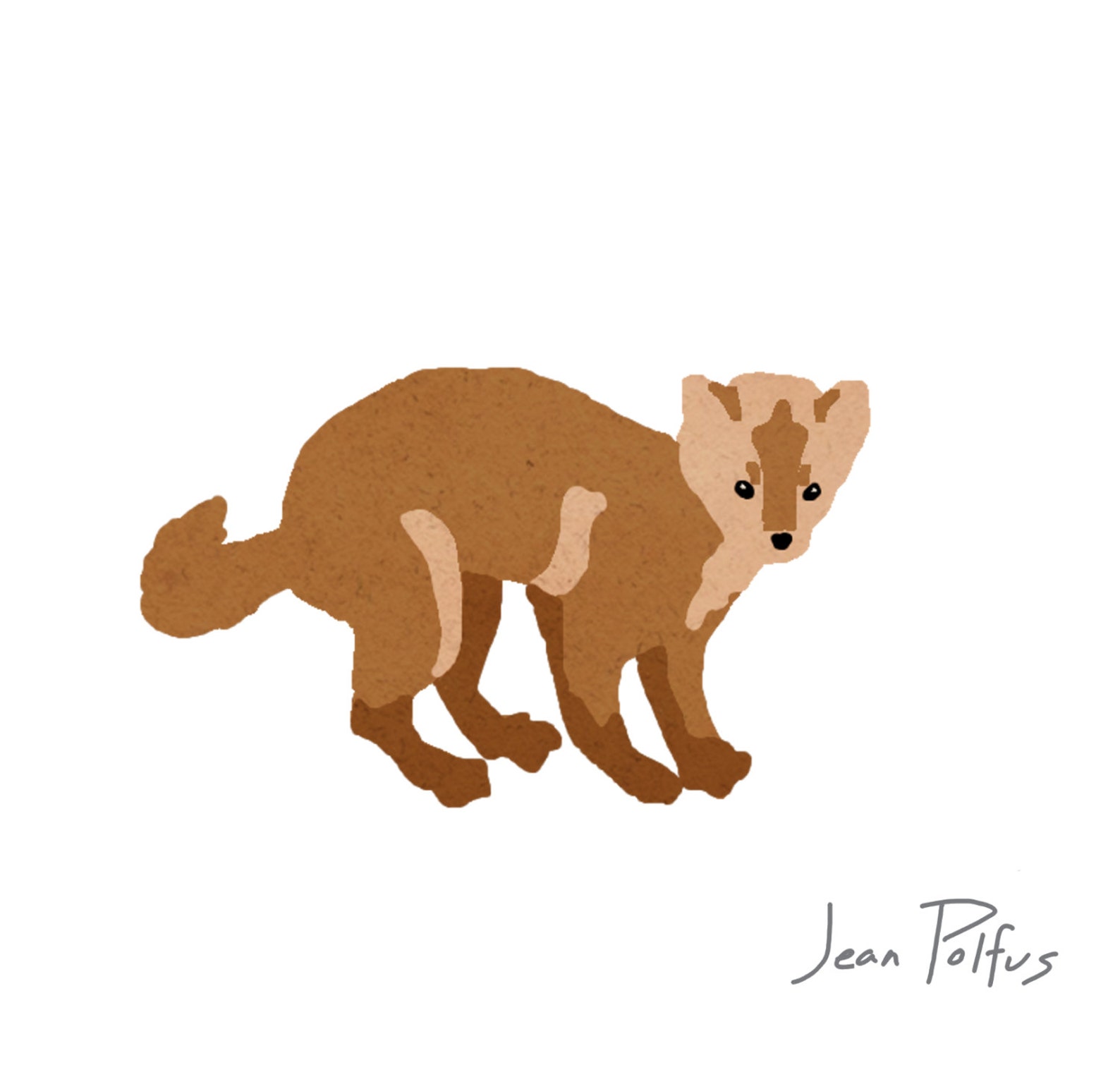 Pine Marten Drawing Canadian Wildlife Marten Illustration - Etsy