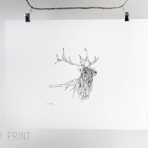 Elk Line Drawing, Elk Illustration, Wildlife Artwork, Unique Black and ...