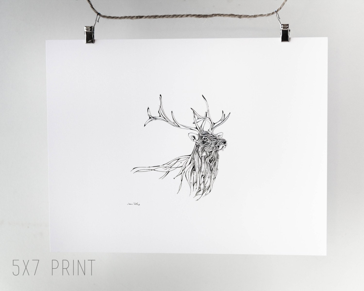 Elk Line Drawing, Elk Illustration, Wildlife Artwork, Unique Black and ...