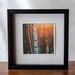 Cross Paw Cross Fox, Fine Art Photography Print, Nature Photograph ...