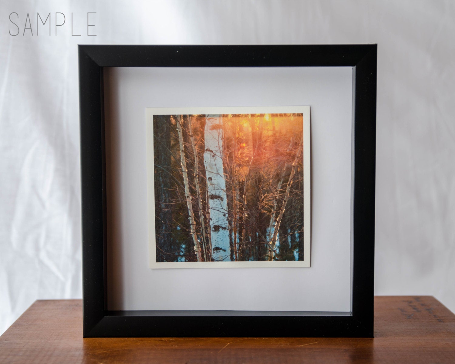 Cross Paw Cross Fox, Fine Art Photography Print, Nature Photograph ...