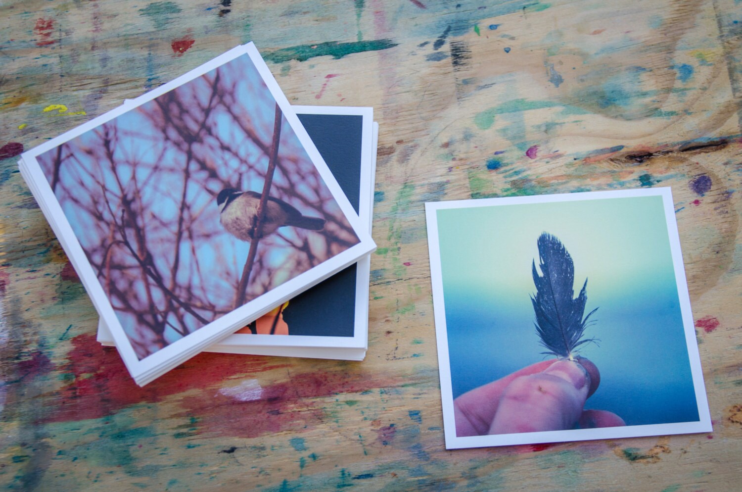 Limited Edition Fine Art Photography Print, Raven Feather, Nature ...