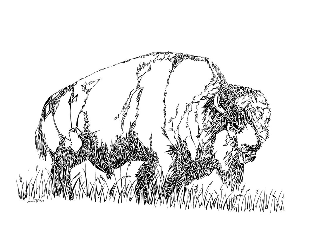 Bison Drawing, Buffalo, Bison Illustration, Wild Animals, Animal ...