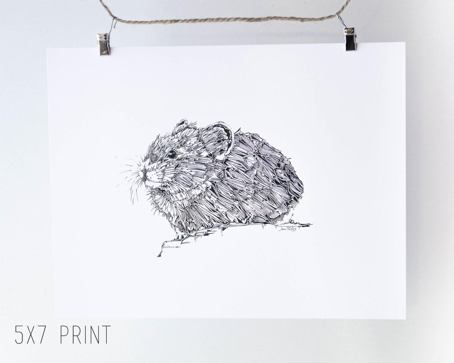 Pika Drawing, Mouse Art, Fine Art Illustration, Animal Drawing ...