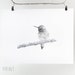 Hummingbird Illustration Fine Line Artwork Black and White - Etsy