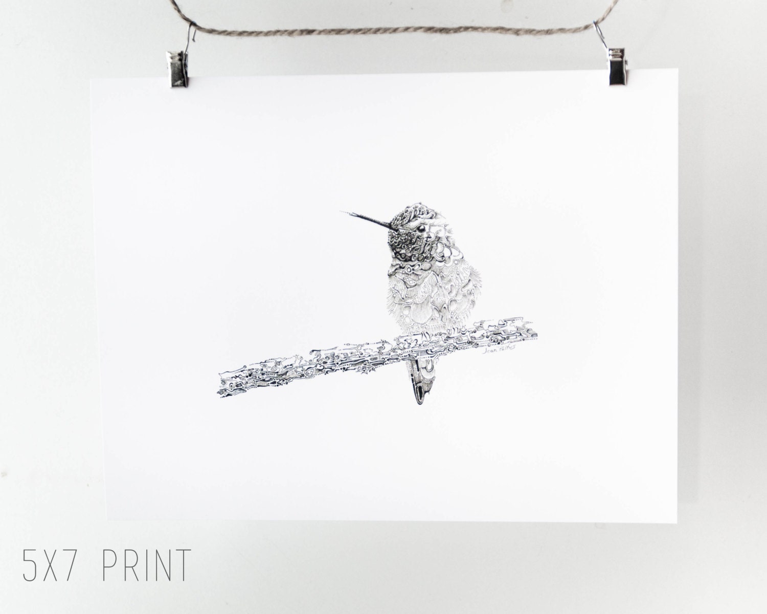 Hummingbird Illustration, Fine Line Artwork, Black and White ...
