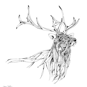 Elk Line Drawing, Elk Illustration, Wildlife Artwork, Unique Black and ...