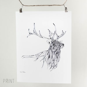 Elk Line Drawing, Elk Illustration, Wildlife Artwork, Unique Black and ...