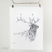 Elk Line Drawing Elk Illustration Wildlife Artwork Unique - Etsy