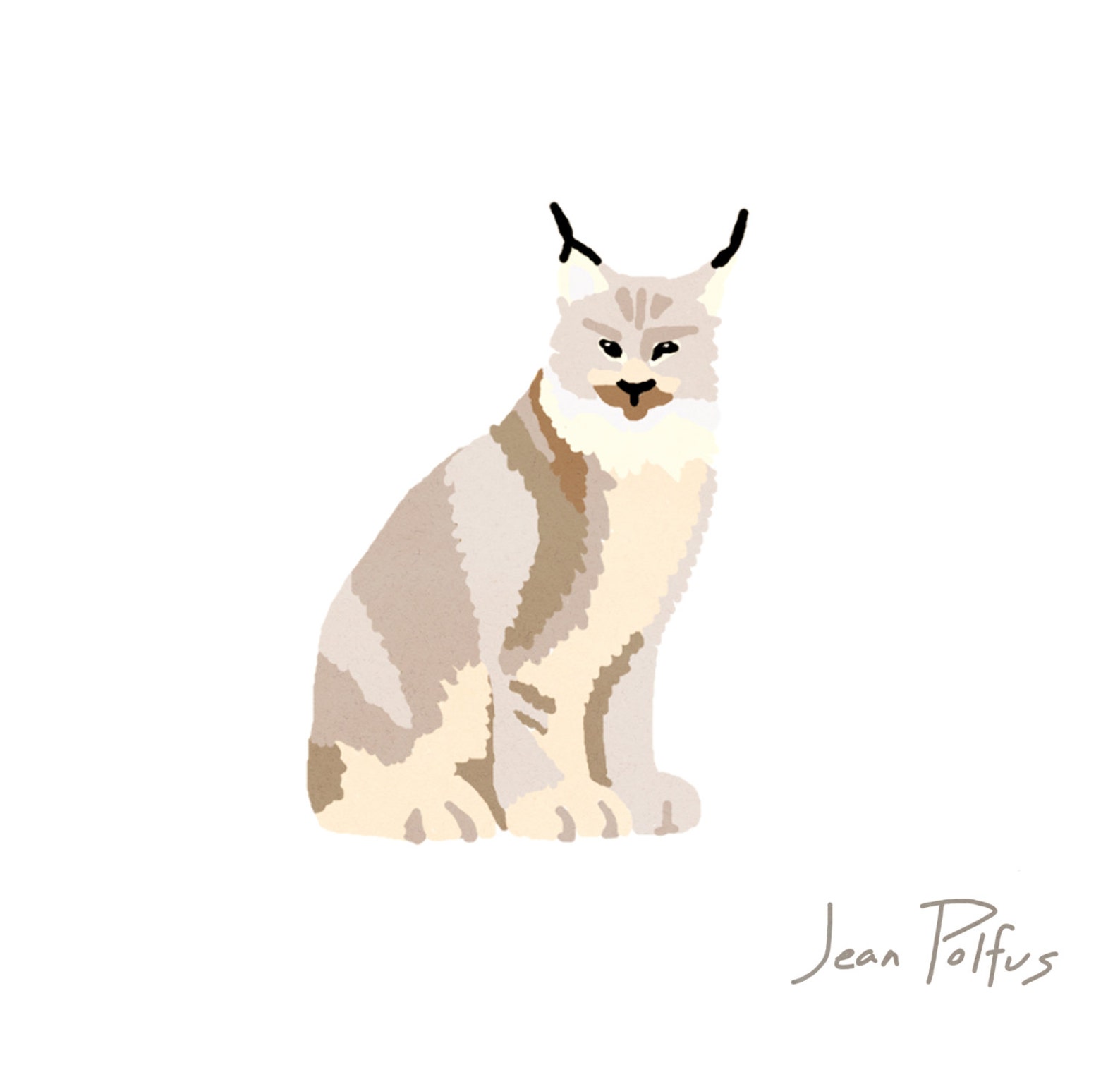 Lynx Drawing, Canadian Wildlife Illustrations, Woodland Creatures Wall ...
