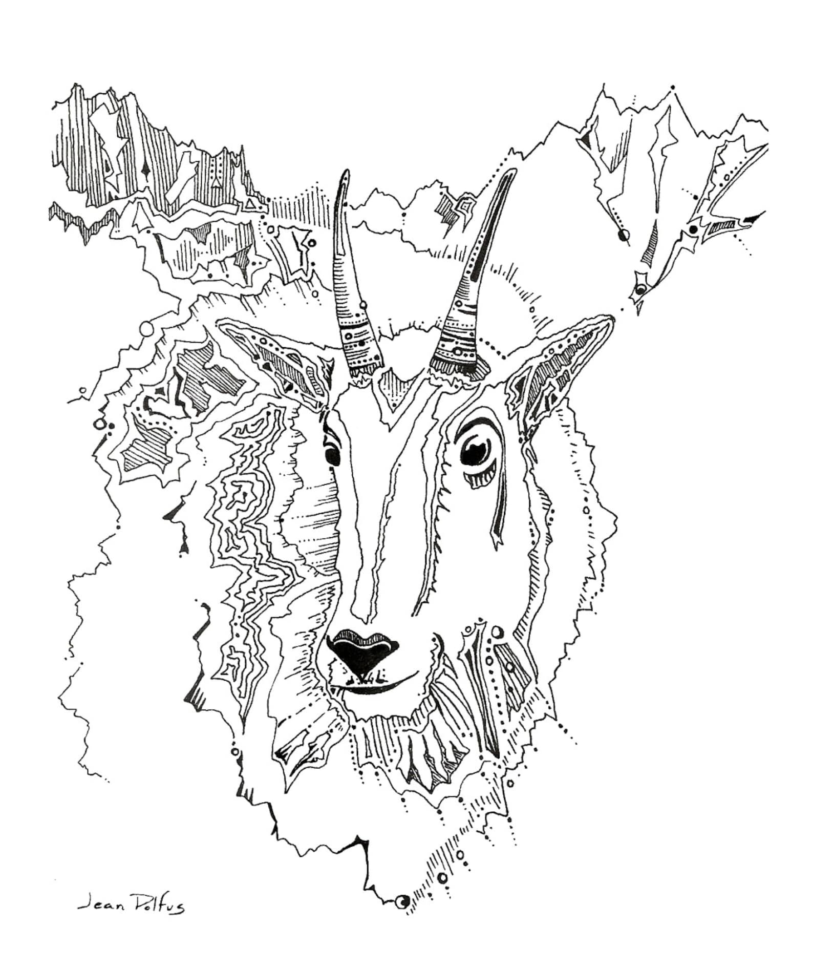Mountain Goat Drawing, Mt Goat, Wildlife Artwork, Fine Art Print, Wild ...