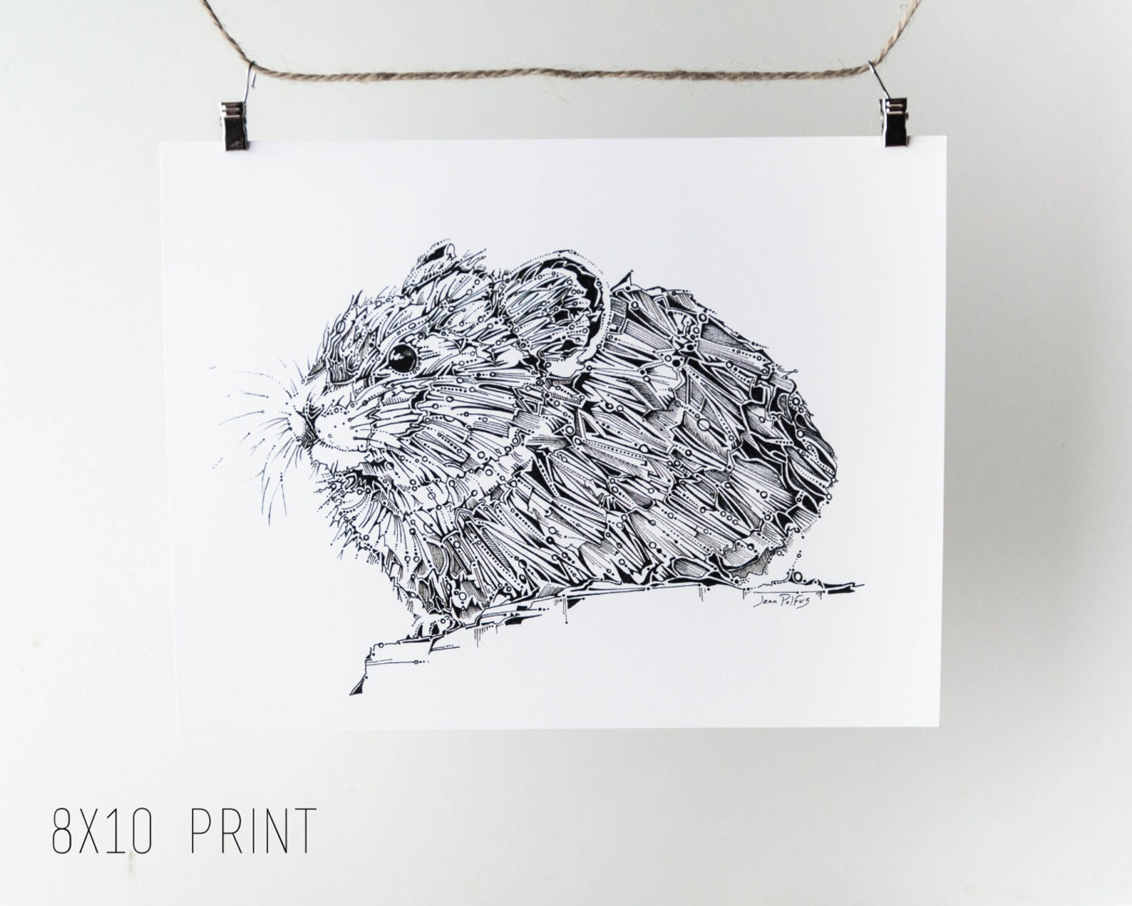 Pika Drawing, Mouse Art, Fine Art Illustration, Animal Drawing ...