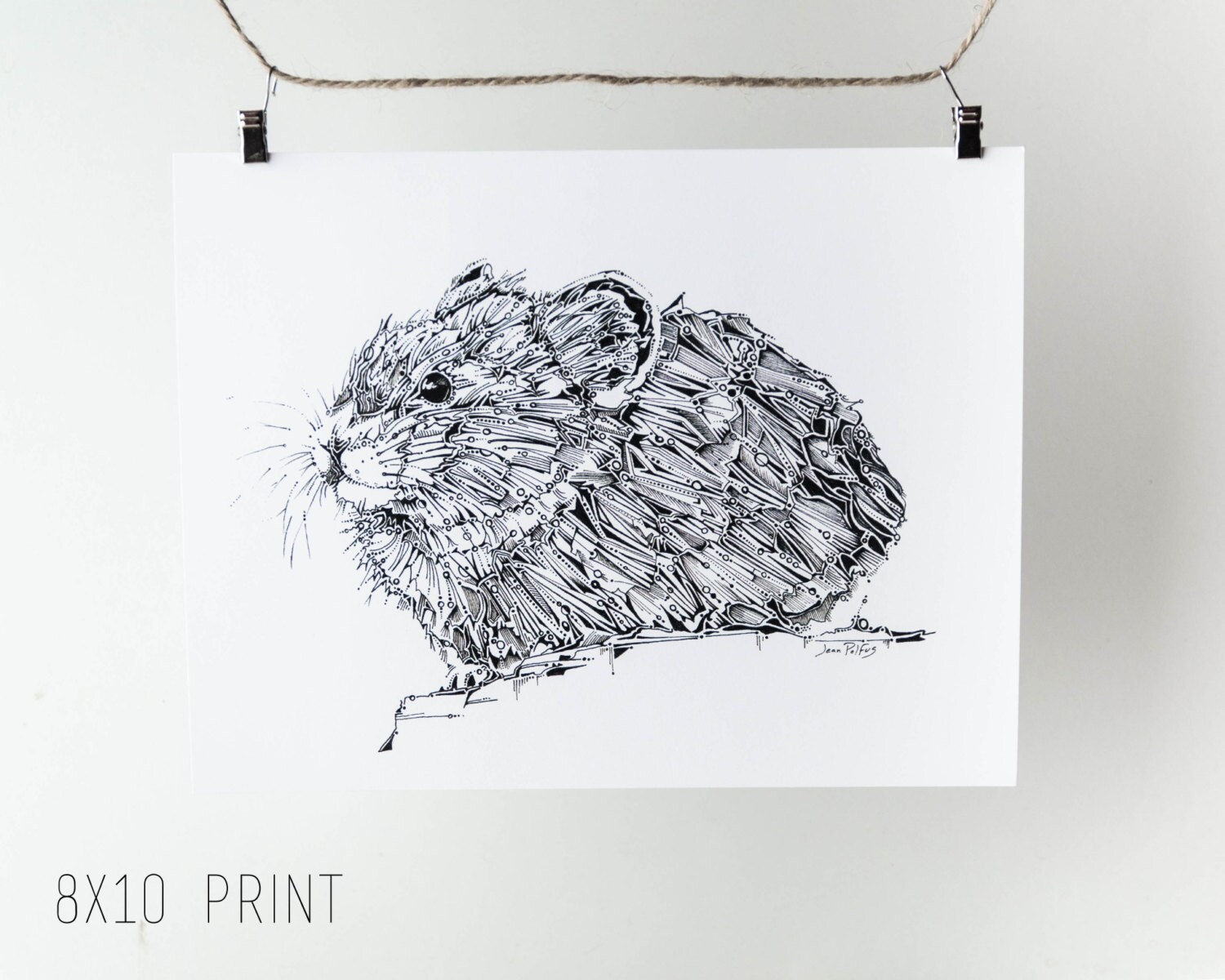 Pika Drawing, Mouse Art, Fine Art Illustration, Animal Drawing ...