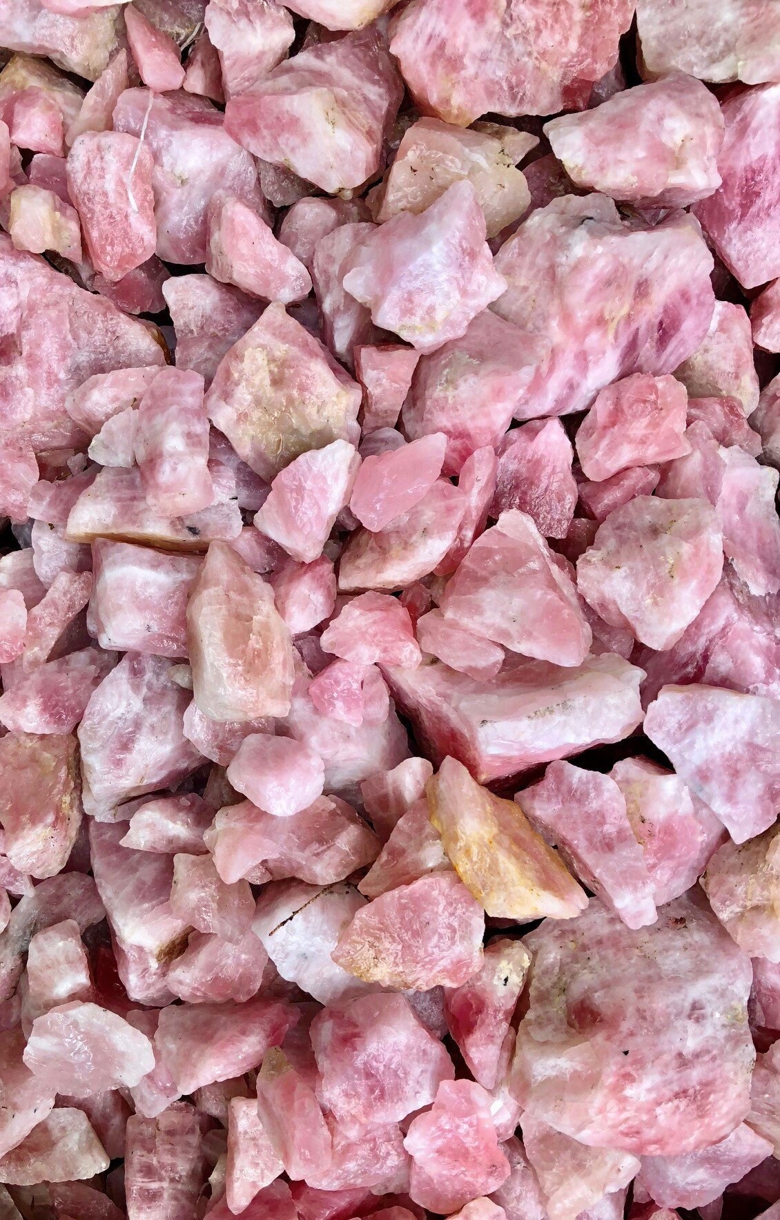 Raw Rose Quartz - 1 LB - (namibia) - Etsy
