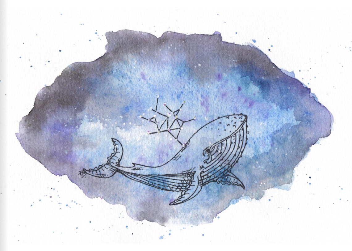 Space Whales Constellation Galaxy Watercolor Drawing Prints | Etsy