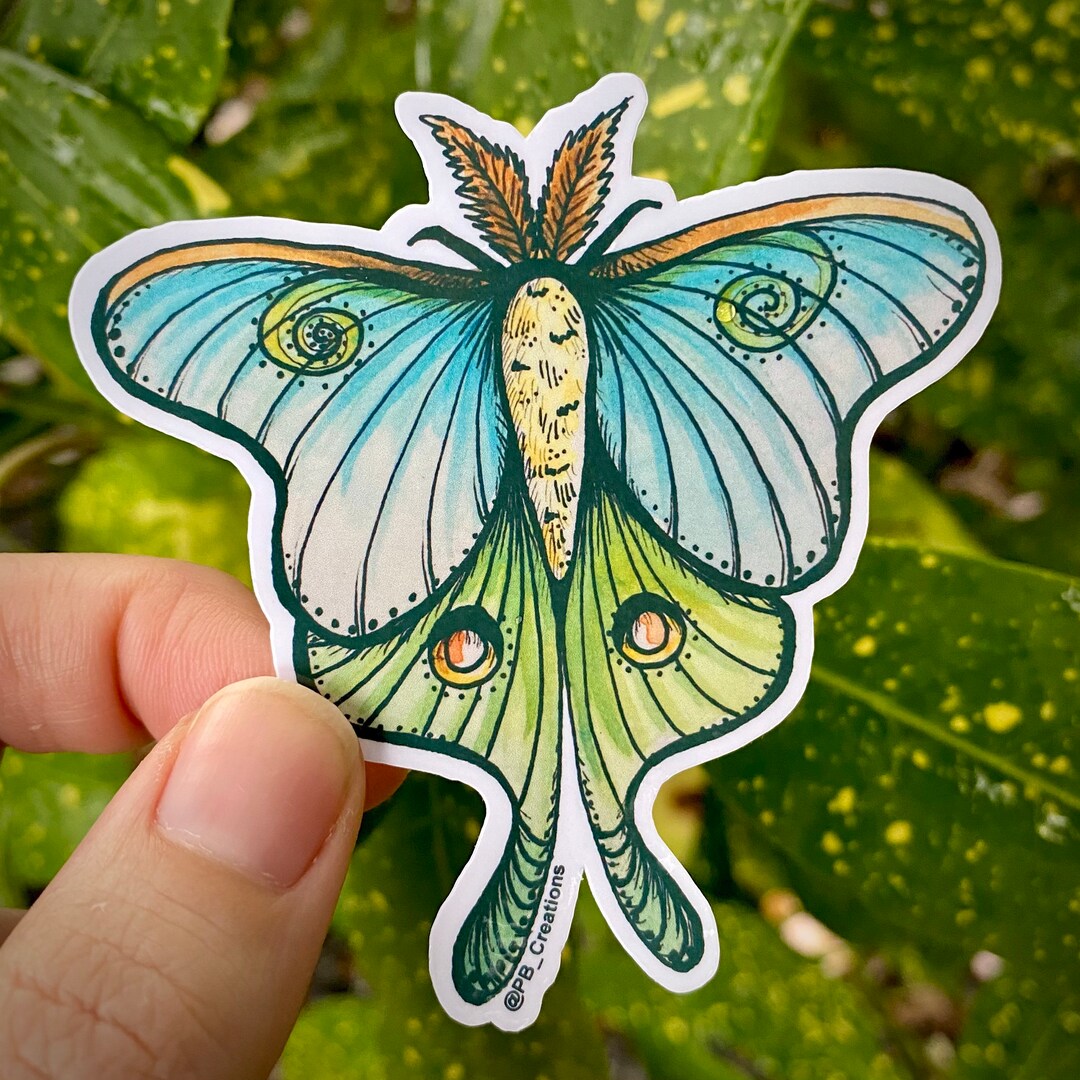 Vinyl Luna Moth Cottage Core Forest 3” Sticker Water Bottle Bumper ...