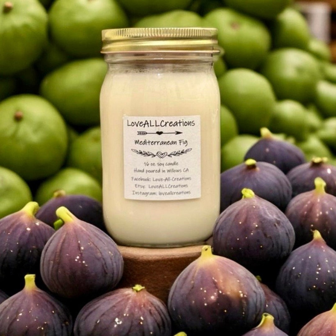 Mediterranean Fig | Soy Cande | 16 Oz Mason Jar Candle | Scented Candle ...
