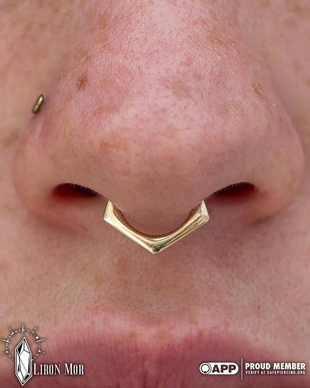 14k Gold Septum Ring, Septum Jewelry, Geometric Septum Ring, 18/16g ...
