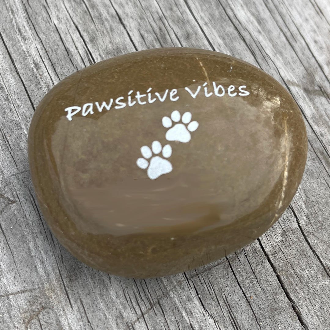 Pawsitive Vibes (set of Pawprints) Graphic - Engraved River Rock Pet ...