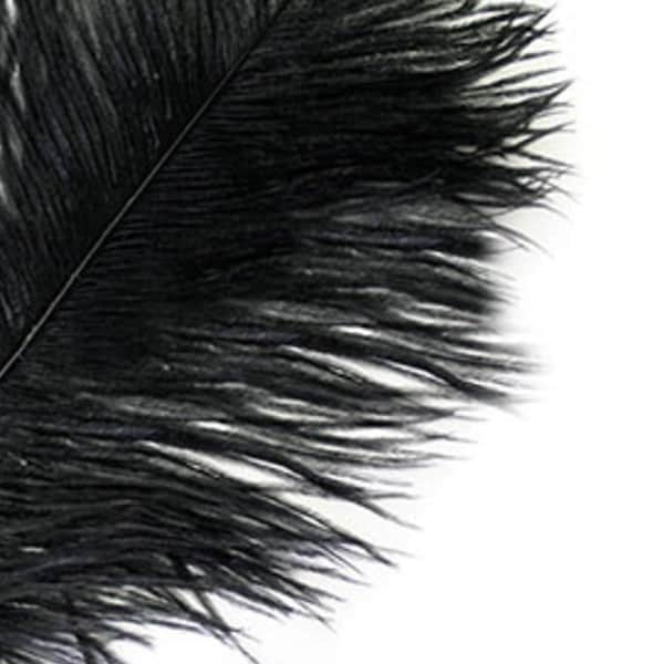 Large Feathers - Etsy