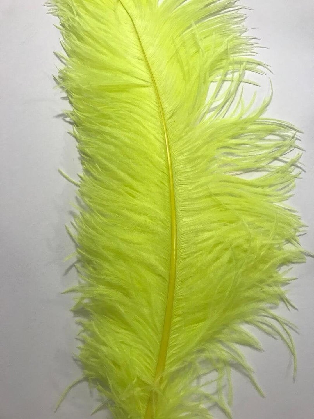 Neon Yellow Ostrich Feather Plume 26 & up Extra Large - Etsy