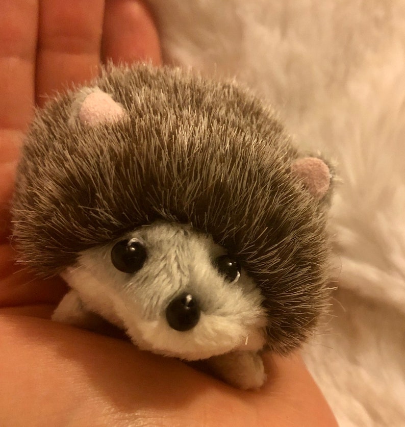 Baby Hedgehog Making Toy Kit - All Materials Included - Etsy