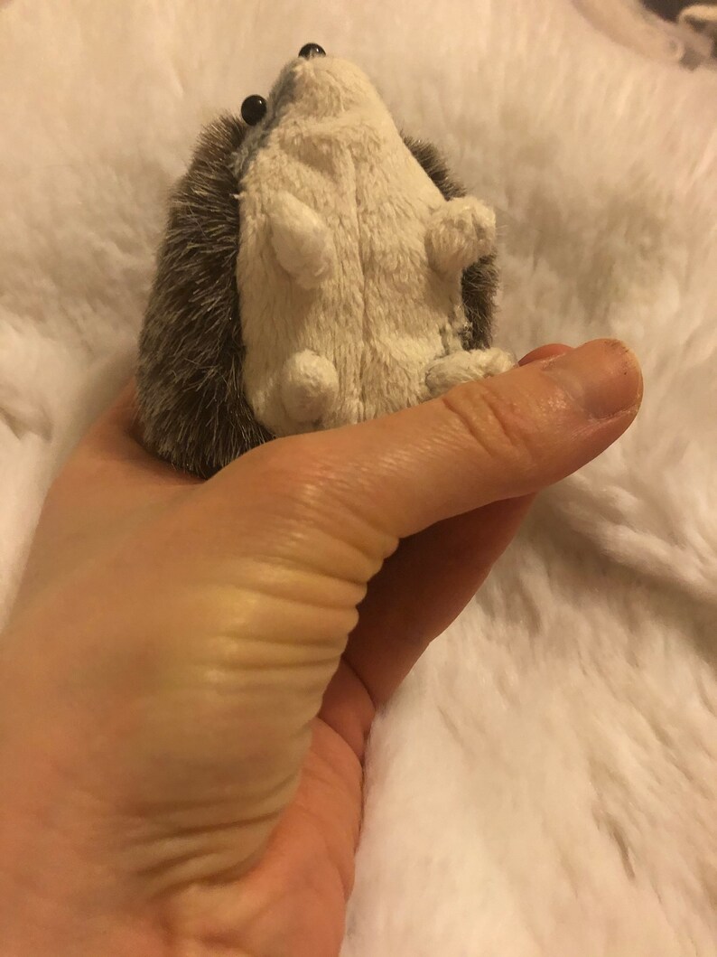 Baby Hedgehog Making Toy Kit - All Materials Included - Etsy