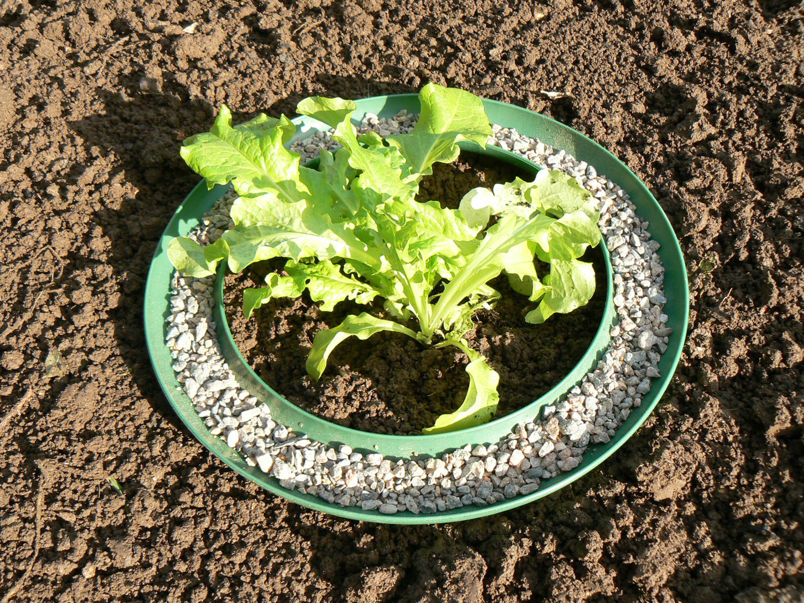 Slug and Snail Deterrent X 4 Pack - Humane Barrier Defense - Includes ...