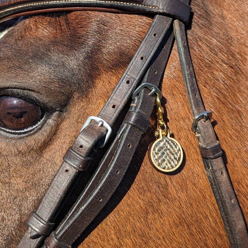 Bridle Charm for Horses - Etsy