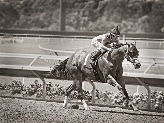 Black And White Horse Racing Photography
