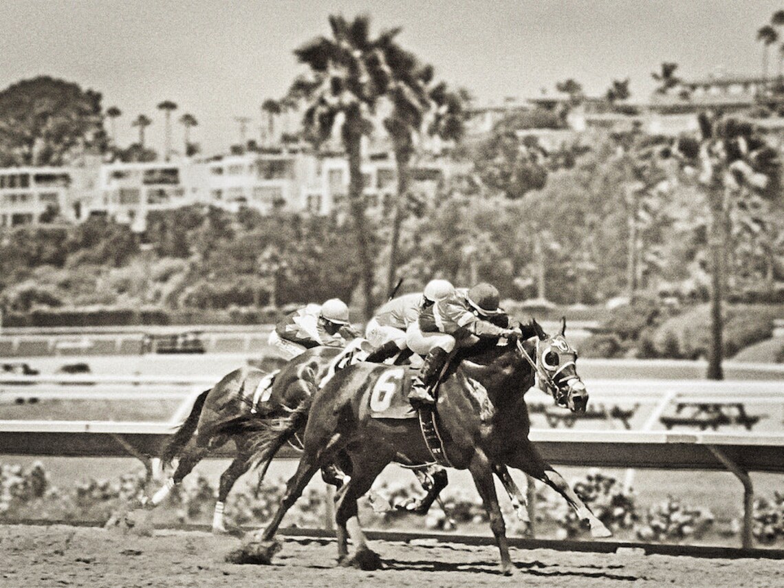 Vintage Horse Racing Photography. Black and White Photo of Horses on ...