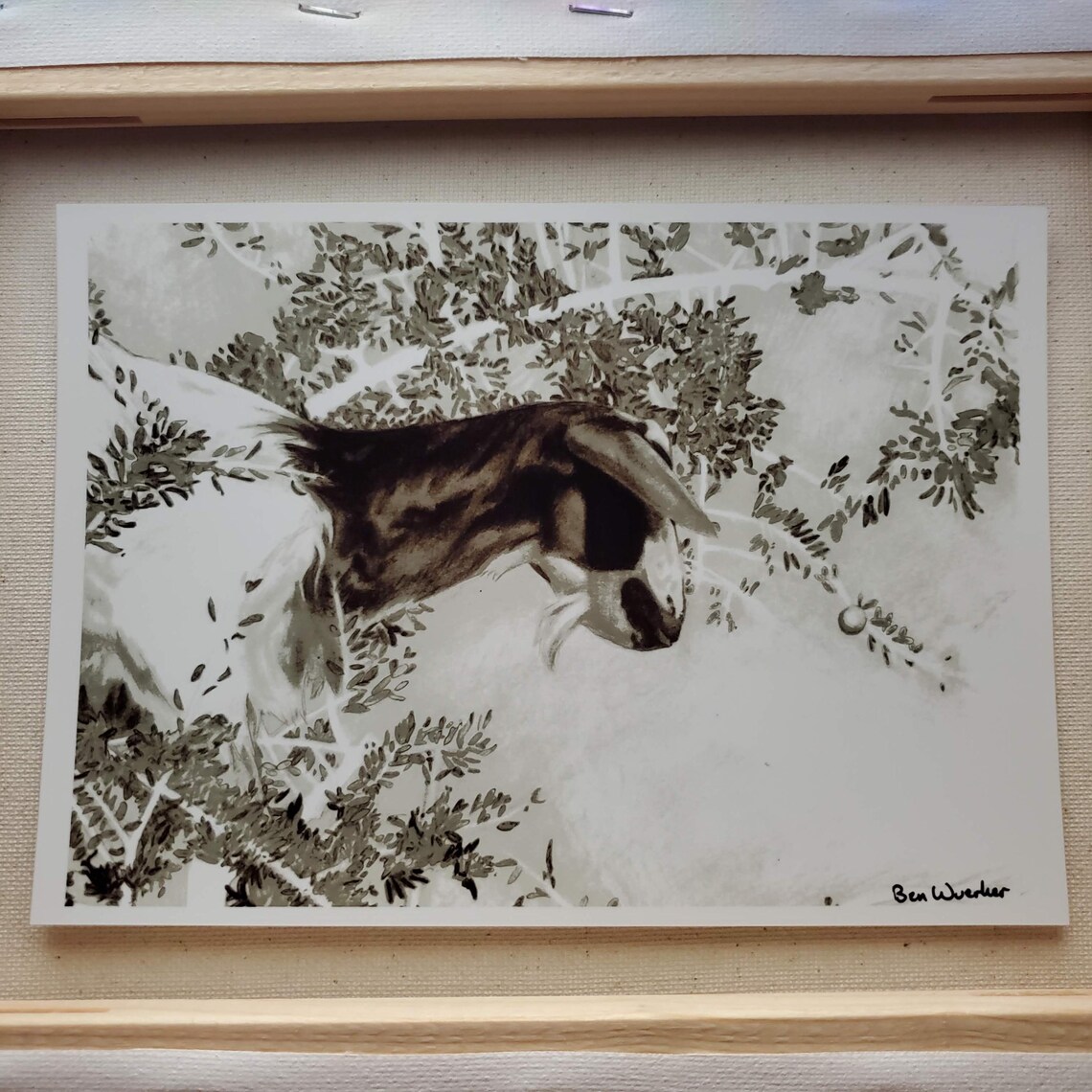 Goat in Tree - Etsy