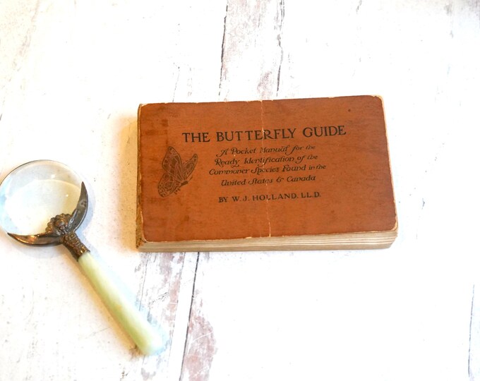 Antique 1915-1916 the Butterfly Guide, Soft Cover, Pocket-size ...