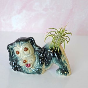 Vintage Mid Century Shawnee Morton Pottery Cocker Spaniel, Big Eye, Dog ...