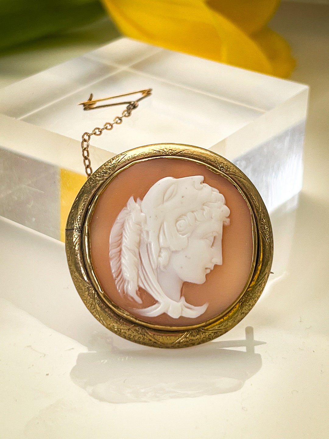 Rare Breathtaking 19th Century Cameo Depicting the Bust Profile of ...