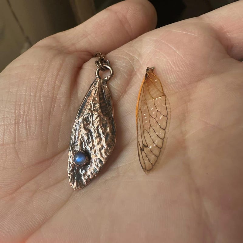 Cicada Jewelry - Etsy