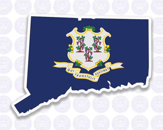 Connecticut CT State Outline Vinyl Decal Sticker - Etsy