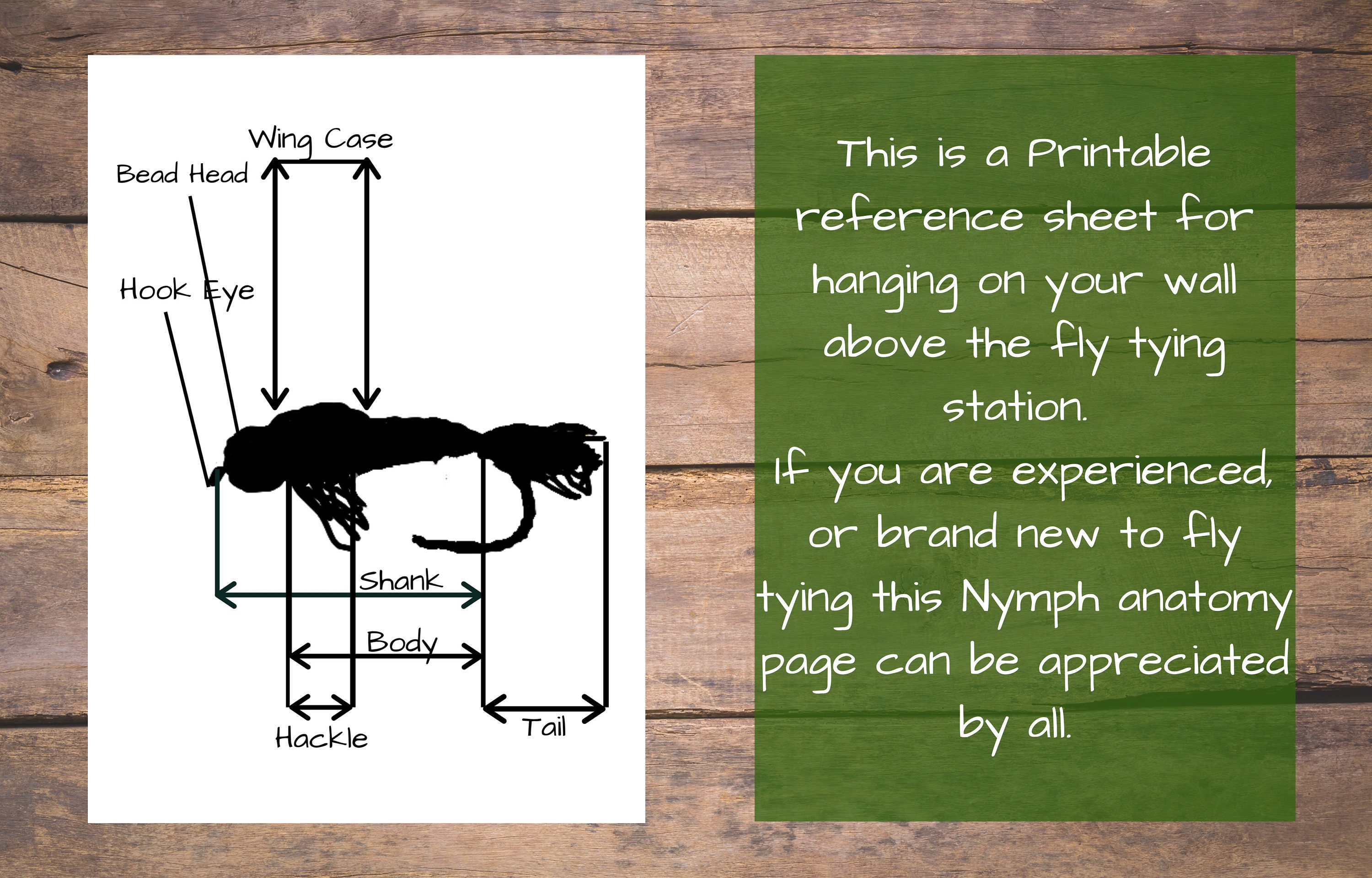 Anatomy of a Nymph Printable Reference Poster for Fly Tying Wall Art ...