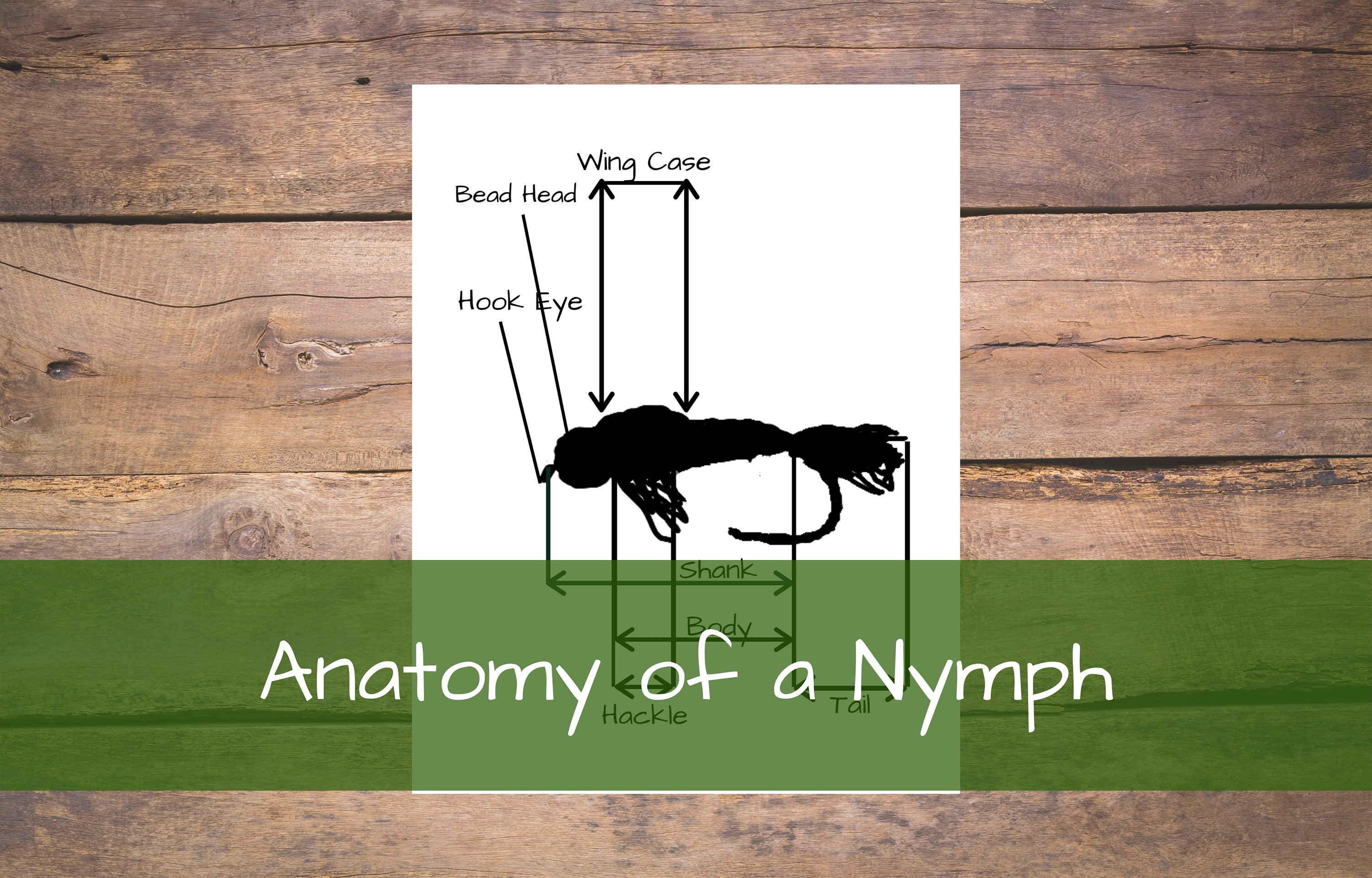 Anatomy of a Nymph Printable Reference Poster for Fly Tying Wall Art ...