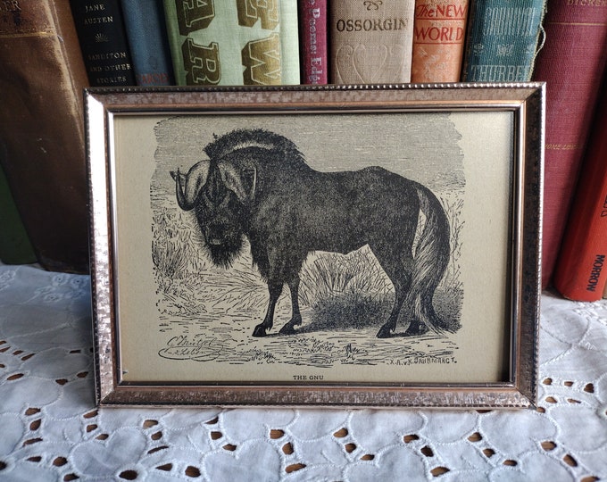 Antique Gnu Book Page Print in Vintage Gold Frame - Etsy