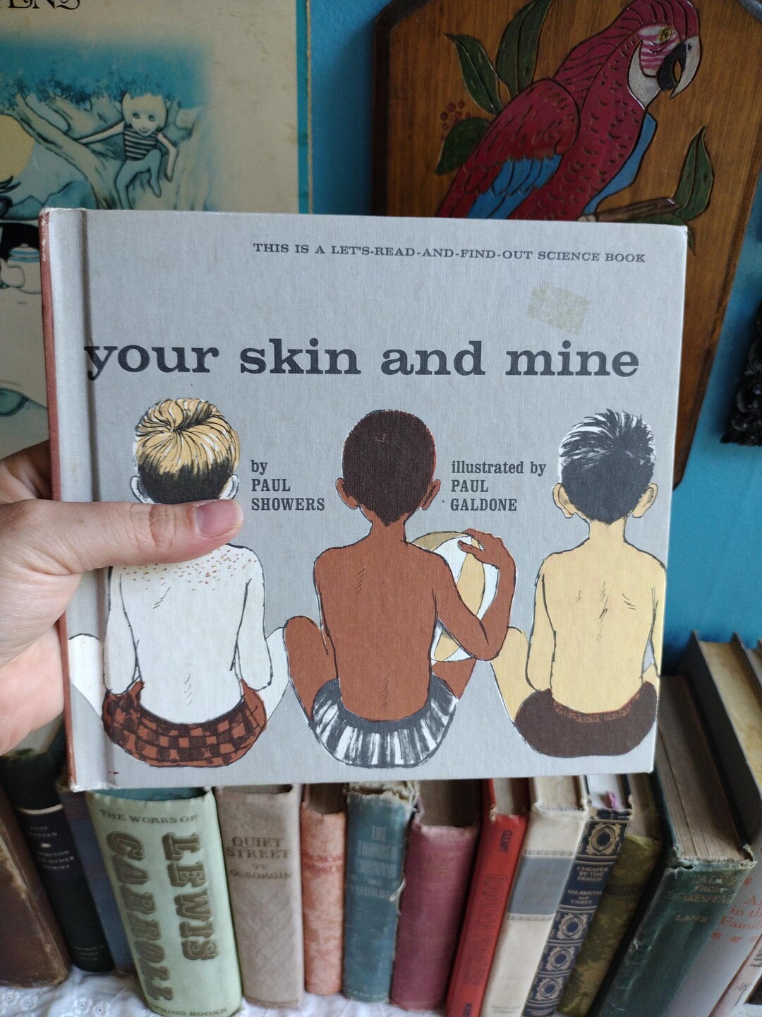 Vintage 60s Kid's Book Your Skin and Mine Paul Showers Galdone ...