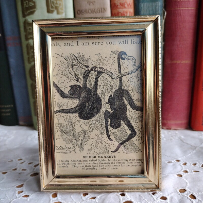 Monkey Picture Frame - Etsy