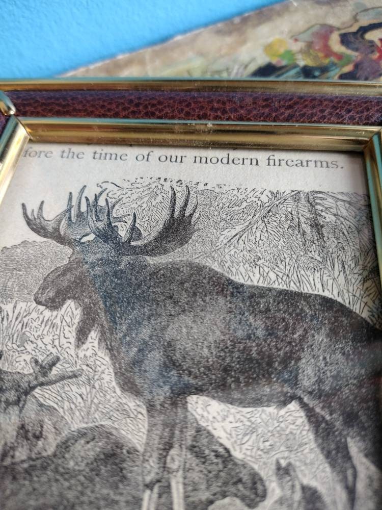 Antique Book Page Art Print Moose Picture Framed Vintage Brown Gold ...